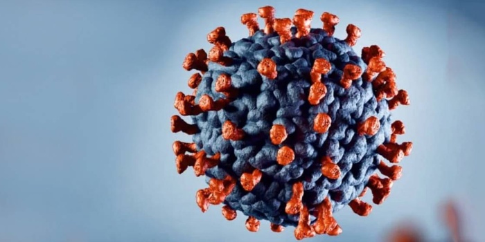 Covid-19 endemik aşamaya geçti - Yeni Özgür Politika